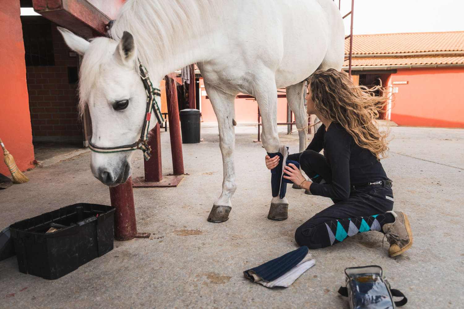 Ochraniacze dla konia, rodzaje ochraniaczy dla konia